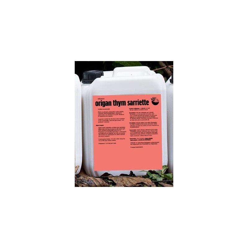 Oregano, Thyme, Savory Infusion - 10,9L